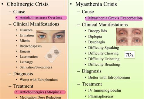 Myasthenia Gravis Flashcards Quizlet