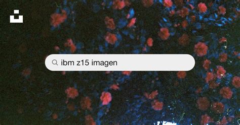 Ibm Z15 Imagen Pictures Download Free Images On Unsplash