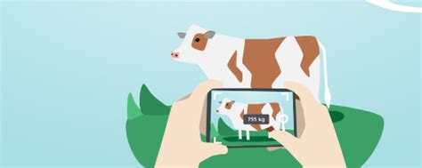 best cattle record keeping apps top list in 2023 edutechbuddy