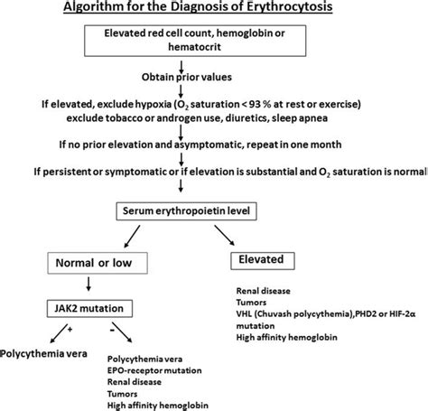 Algorithm For The Diagnosis Of Erythrocytosis Download Scientific Diagram