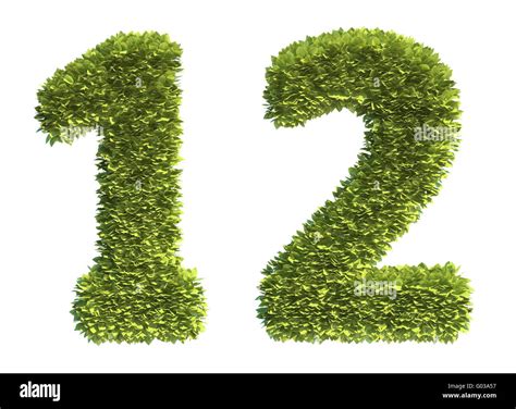 Leaf Covered Letters Part Of A Full Alphabet Stock Photo Alamy