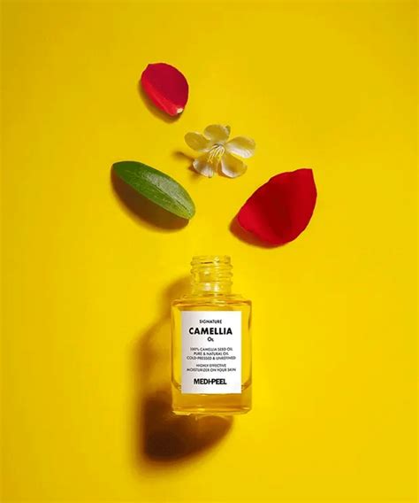 메디필 제주도 동백나무씨 100 시그니처 동백오일 15ml