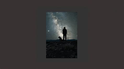 Pure 3d Css Hover Flip Card Effect How To Explained Simply Rcss