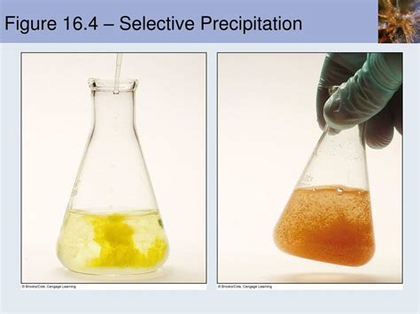 Ppt Chapter 16 Precipitation Equilibria Powerpoint Presentation Free