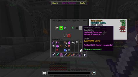 Skyblock Patch 0185 Abiphone Contacts Dungeons Balancing And Bug