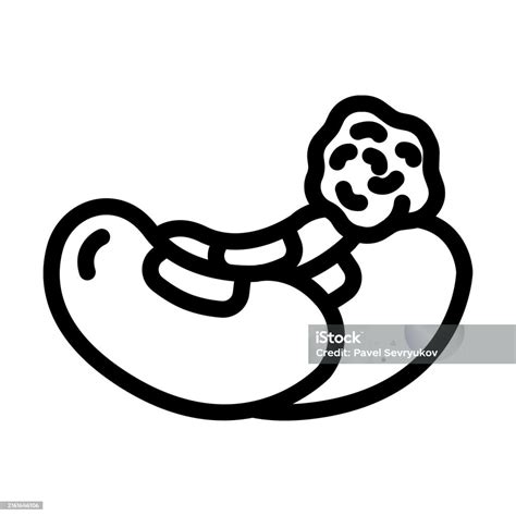 콩 알레르겐 무료 제품 음식 라인 아이콘 벡터 일러스트 레이 션 0에 대한 스톡 벡터 아트 및 기타 이미지 0 0명 검증