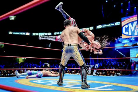 Ángel de Oro y Volador Jr quieren apostar con Rocky Romero y Oráculo