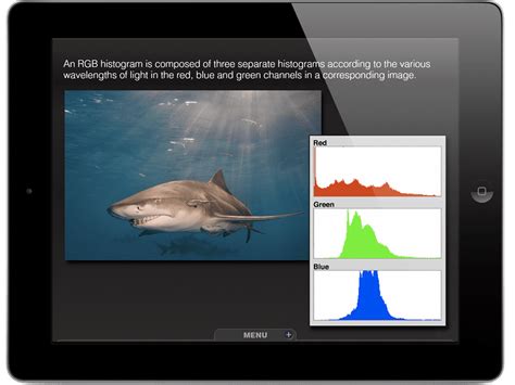 Histograms Explained Tips To Understand Your Cameras Histogram For Better Images Newmediasoup