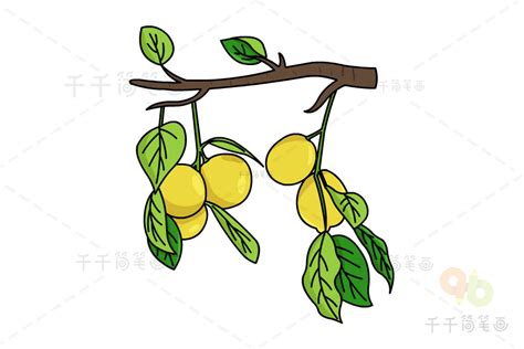 一半柠檬简笔画 一半柠檬怎么画 一整个柠檬怎么画 大山谷图库