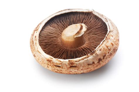 20 Types Of Mushrooms And How To Use Them Parade