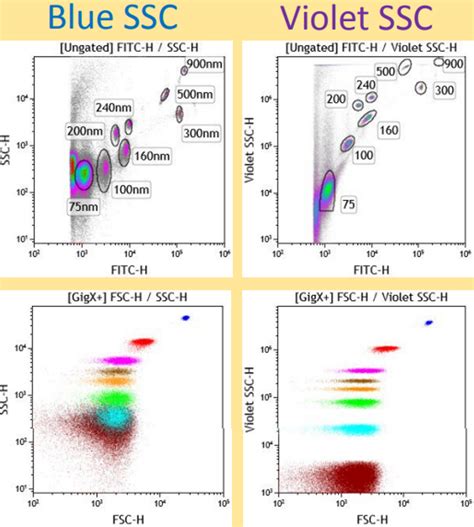 Cytoflex怎样做好外囊泡检测？ 知乎