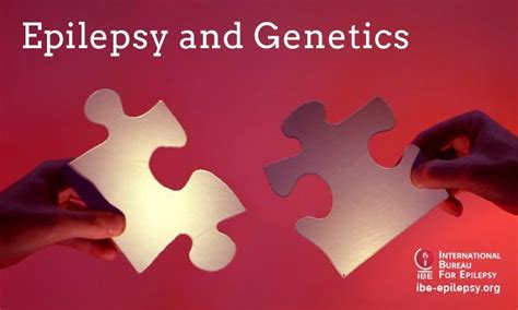 Epilepsy And Genetics Ibe Epilepsy News
