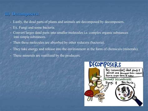 Dr Praveen Kumar Ecosystem Explained Ppt