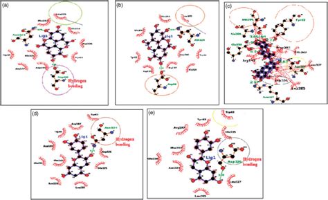 Lig Plot Analysis Shows Hydrogen Bonding And Hydrophobic Interaction Of Download Scientific