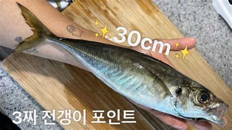 3짜 전갱이가 나오는 포인트 가덕도 아징 루어낚시 Youtube
