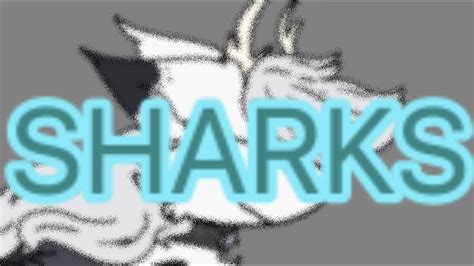 Look Theres A Shark Youtube