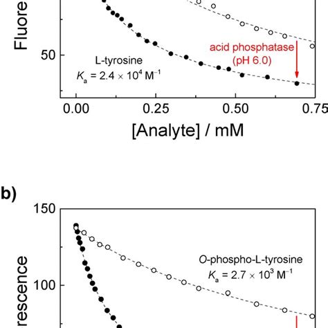 Fluorescence Displacement Titrations Of L‐tyrosine And Download