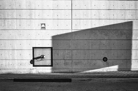 Premium Photo Shadow On Wall