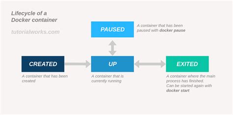 Why Does My Docker Container Stop Tutorial Works