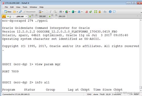 Oracle Ogg安装配置文档如何查找ogg安装目录 Csdn博客