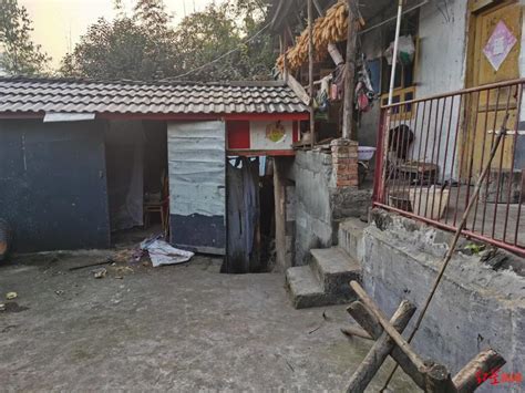 黑熊闯进家中撕咬女子，58岁丈夫杀熊救妻！当事人讲述惊险搏斗过程腾讯新闻