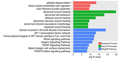 Github Zhaoshuoxp Rseqplots R Scripts For Ngs Data Visualization