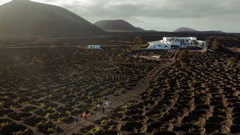 Visitar Bodega Yaiza En Lanzarote [vega De Yuco 2023]