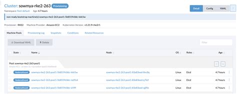 rke2 cluster is stuck in provisioning state after an upgrade to 2 6