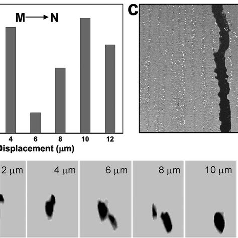 characterization of interdendrite subgrain boundaries a spot by spot download scientific