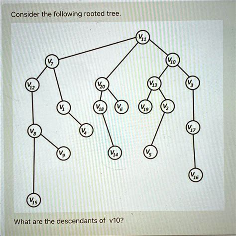 SOLVED Consider The Following Rooted Tree What Are The Descendants Of