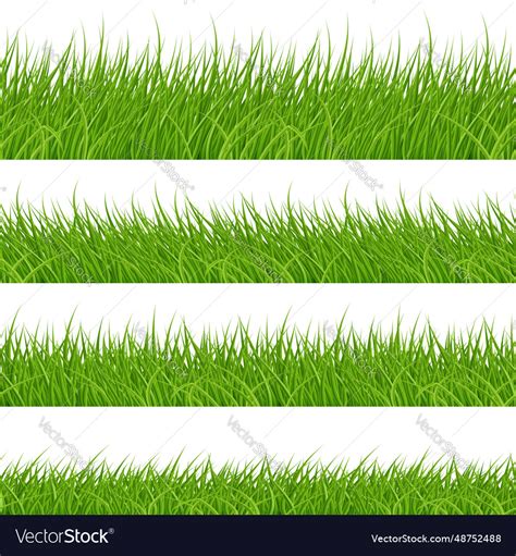 Green Grass Royalty Free Vector Image Vectorstock