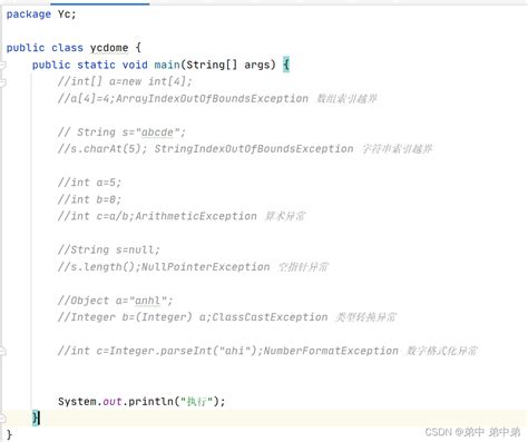 Java 异常篇 Csdn博客