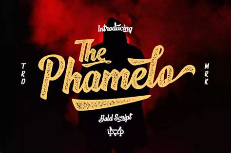 Phamelo Grunge Script Font Design Shack
