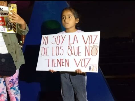 Realizan Marcha En Contra Del Maltrato Animal