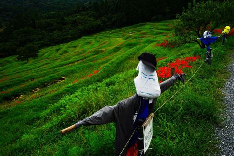 撮っちゃダメ GANREF