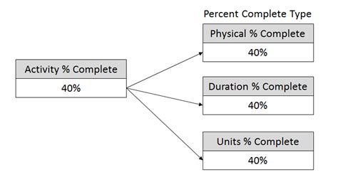 Primavera P6 Percent Complete Types Explained