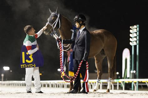 【ダイオライト記念回顧】セラフィックコールが連覇達成 ズブさを見せるもゴール前で差し切る｜競馬×ai×データ分析【spaia競馬】