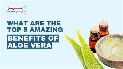 What Are The Top 5 Amazing Benefits Of Aloe Vera