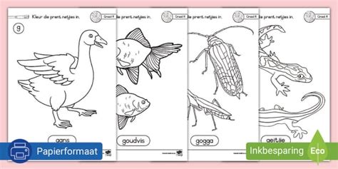 G Klank Inkleurprente Teacher Made Twinkl
