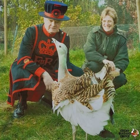 Derar Bni Mfarej Posted On Linkedin