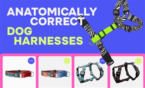 Anatomically Correct Dog Harnesses
