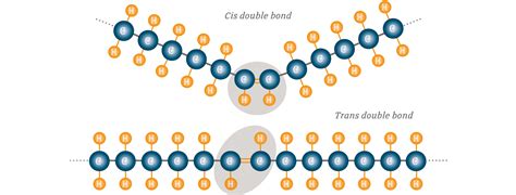 Cis And Trans Fatty Acids Advice Megalac