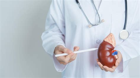 Como prevenir doenças renais