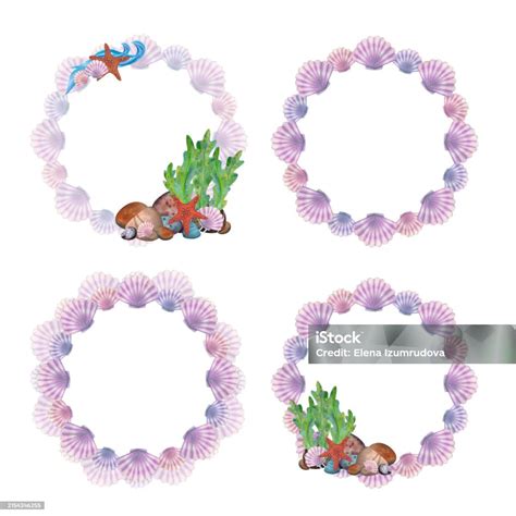 조개껍데기 가리비 조류와 불가사리가 있는 바위 바닥 수채화 손으로 그린 그림입니다 둥근 프레임의 집합 흰색 배경에 템플릿입니다 디자인 장식 포장 등 가리비에 대한 스톡 벡터