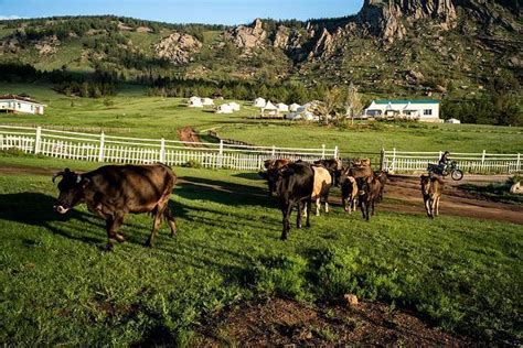 2023特勒吉国家公园门票额尔德尼特勒吉国家公园游玩攻略特勒吉国家公园游览攻略路线地址门票价格 【去哪儿攻略】