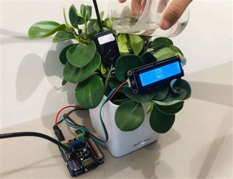 How To Select The Best Soil Moisture Sensors For Agriculture And Research Lab