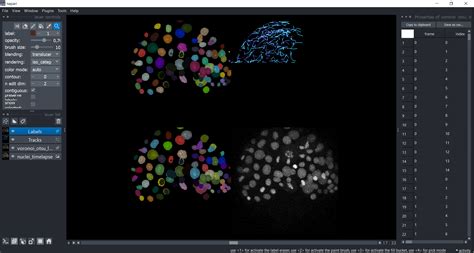 Turned Visualization Of Tracks Layer On 3dt Data · Issue 15