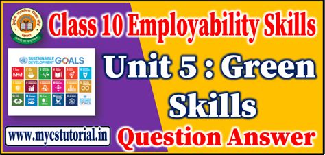 Class 10 Info Tech Electronic Spreadsheet Advanced Session 4 Create