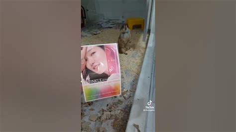 우리집은 택배 언박싱 해주는 애 있다 Youtube