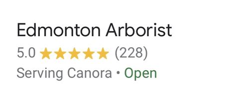 Edmonton Arborist Tree Removal And Premier Tree Care Services